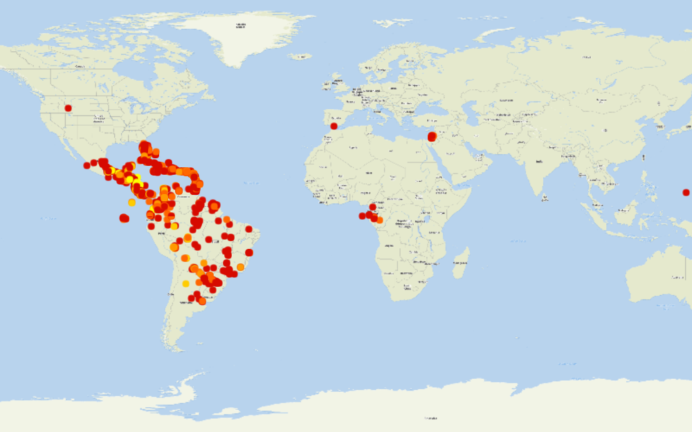 La mortelle menace de la FOURMI ÉLECTRIQUE - AgoraVox le média citoyen