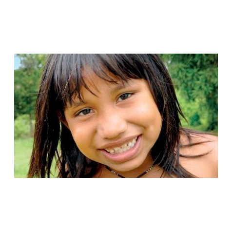 Premier bilan de la pétition pour sauver les derniers Amérindiens ...