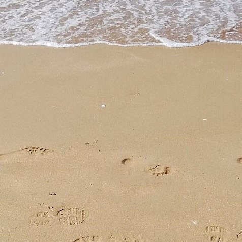 Le Connard à costar - AgoraVox le média citoyen