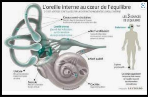 La banalité du vertige - AgoraVox le média citoyen