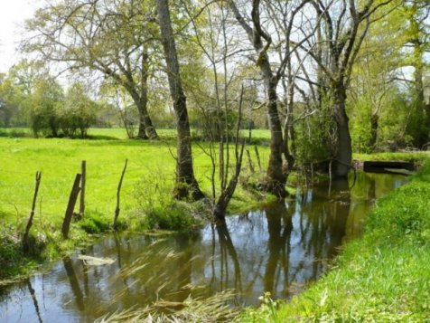 Les zones humides face aux Grands Projets inutiles - AgoraVox le média ...