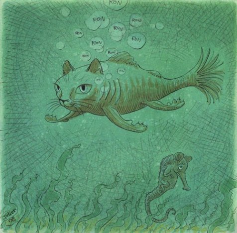 Poissons-chats - AgoraVox le média citoyen