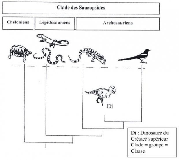 Des têtes bien pleines - AgoraVox le média citoyen
